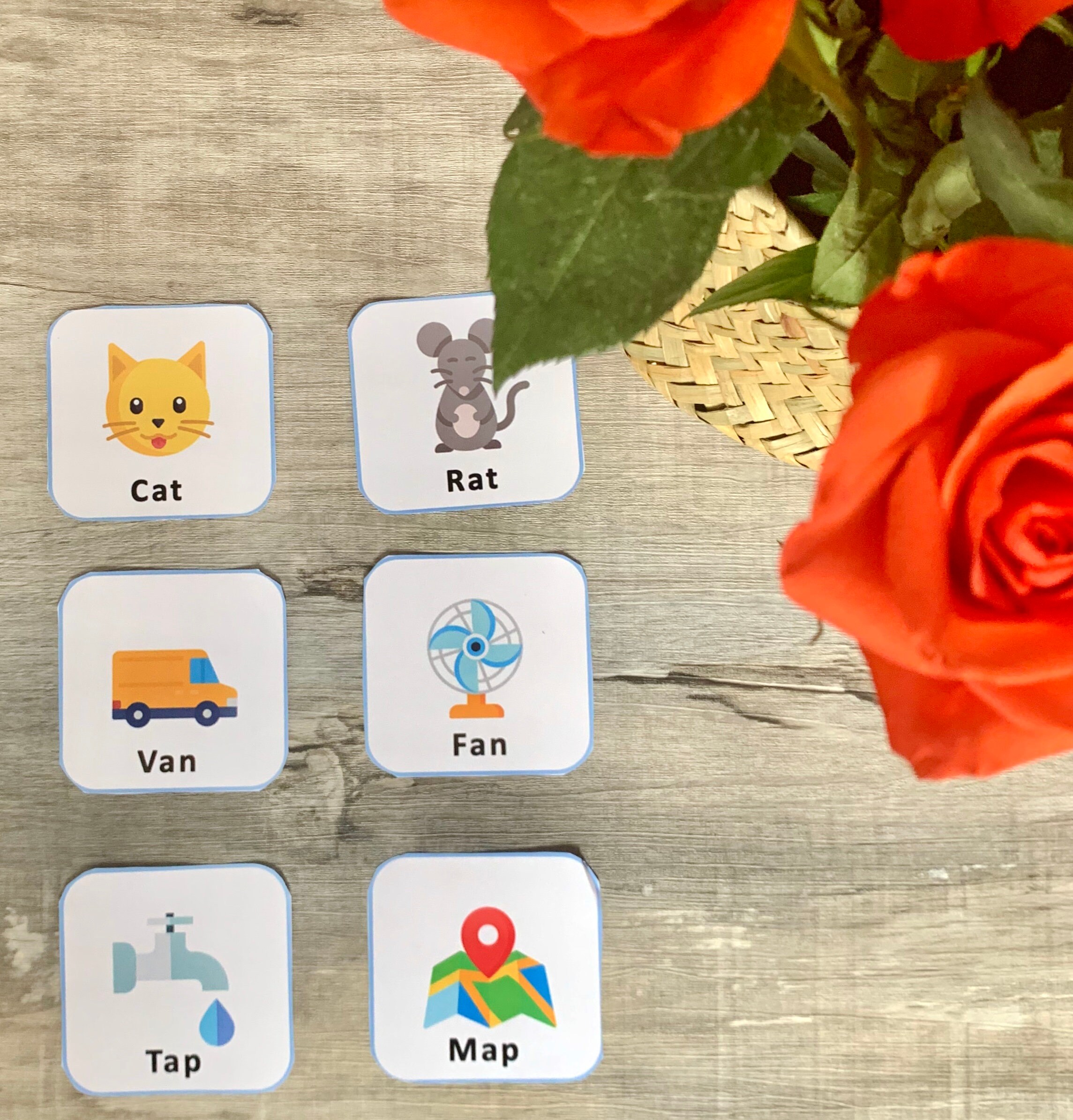 Rhyming Words Matching Cards - Etsy