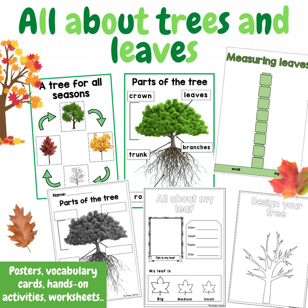 All About Trees and Leaves - Investigation Science Center for Preschool ...