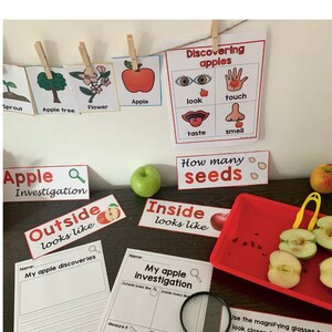 All About Apples - Investigation Science Center for Preschool - Etsy
