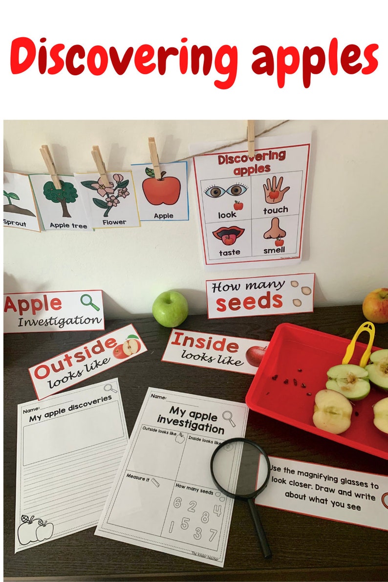 All About Apples - Investigation Science Center for Preschool - Etsy
