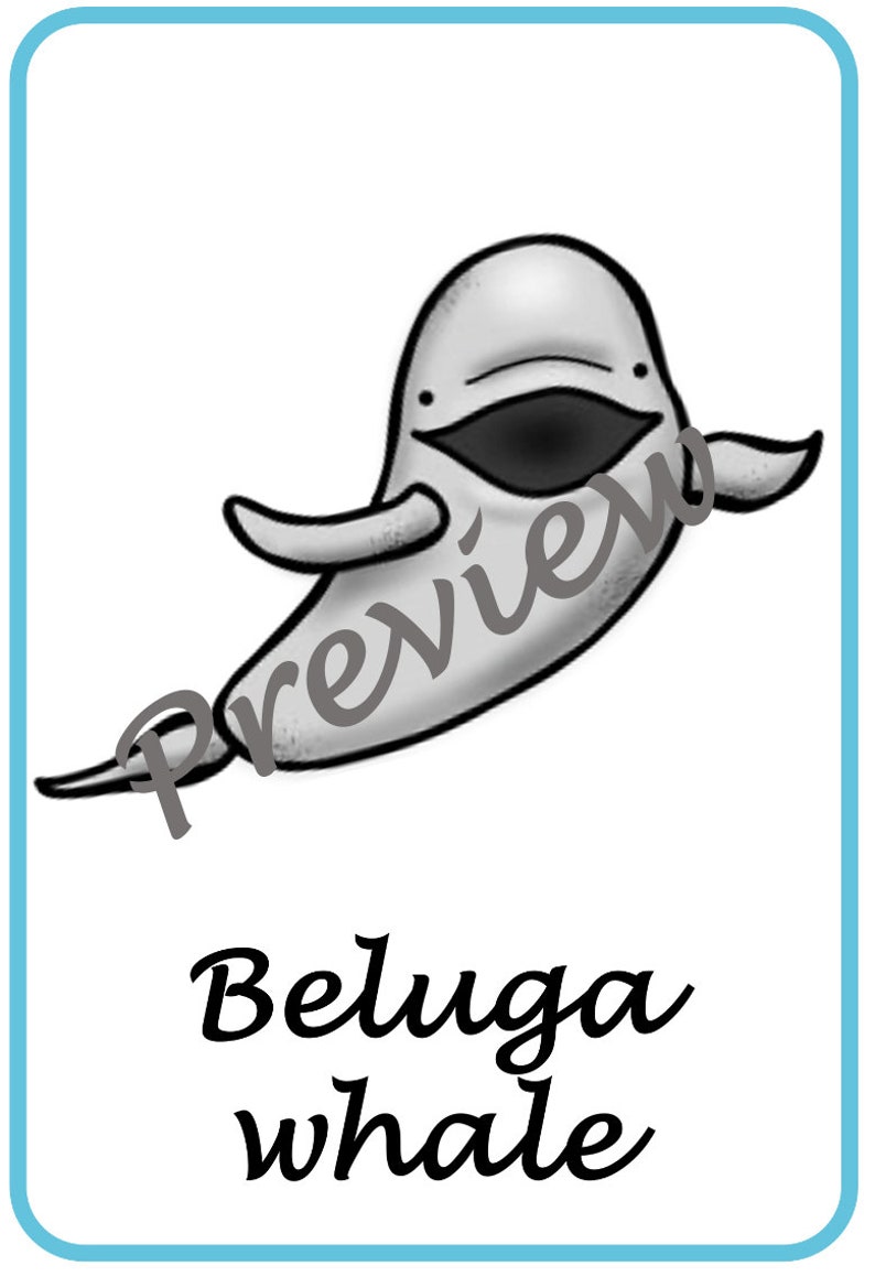 Polar Animals Classroom Posters - Etsy