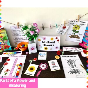 All About Flowers - Investigation Science Center for Preschool - Etsy