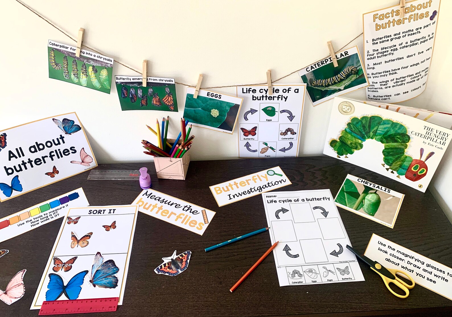 All About Butterflies Investigation Science Center for Preschool - Etsy