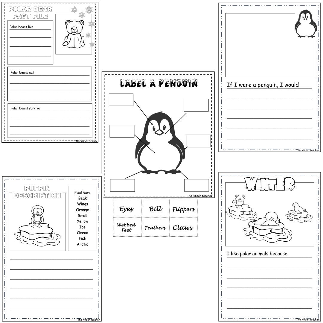 Polar Animals - Early Writing - Etsy