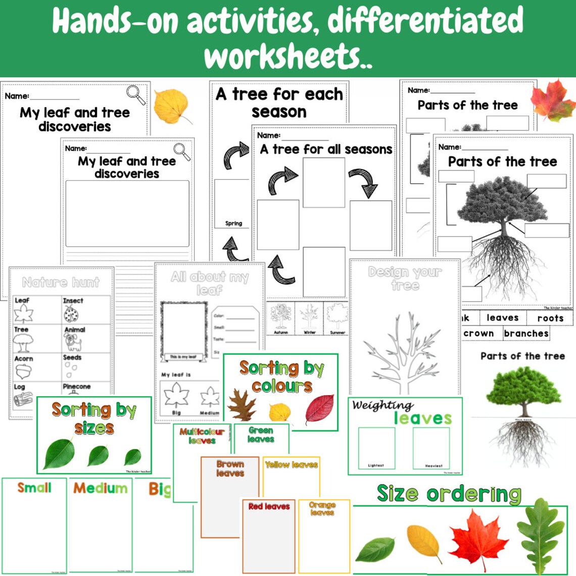 All About Trees and Leaves - Investigation Science Center for Preschool ...