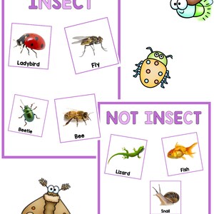 All About Insects and Minibeasts - Investigation Science Center for ...