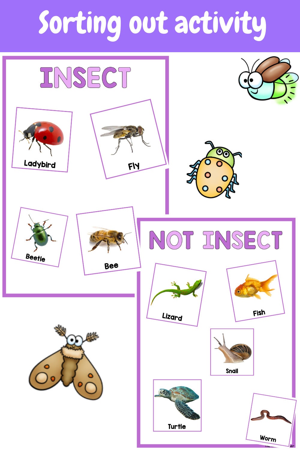 All About Insects and Minibeasts - Investigation Science Center for ...