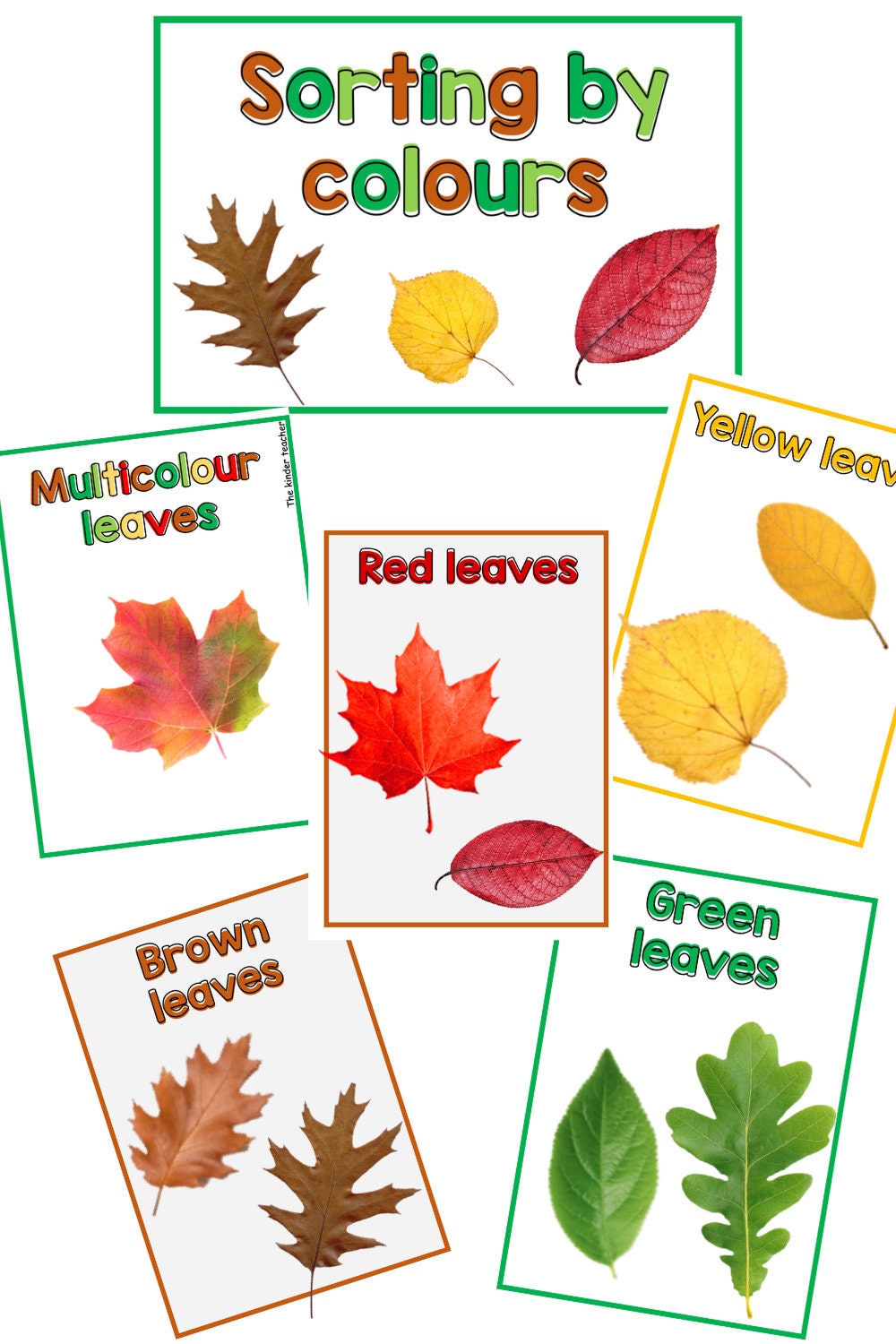 All About Trees and Leaves - Investigation Science Center for Preschool ...