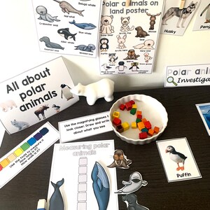 All About Polar Animals- Investigation Science Center for Preschool - Etsy
