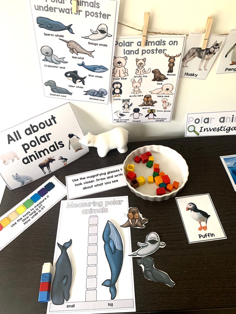 All About Polar Animals- Investigation Science Center for Preschool - Etsy