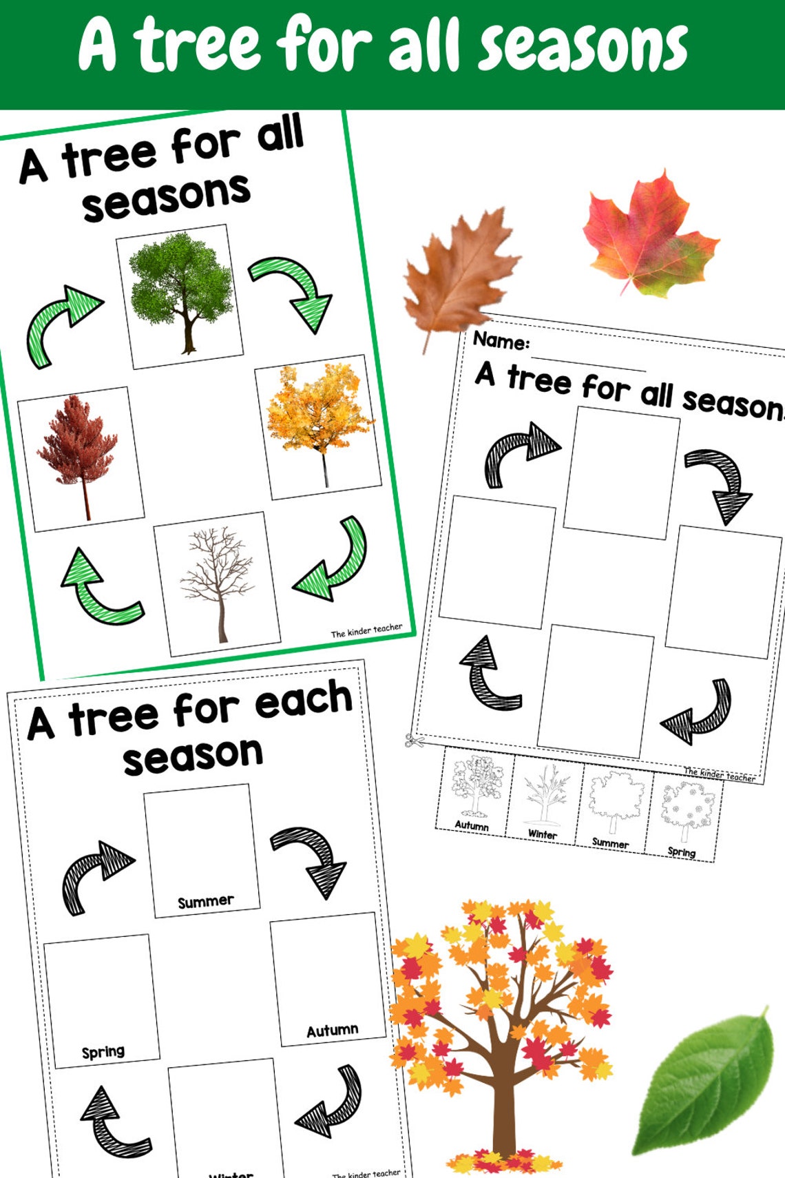 All About Trees and Leaves - Investigation Science Center for Preschool ...