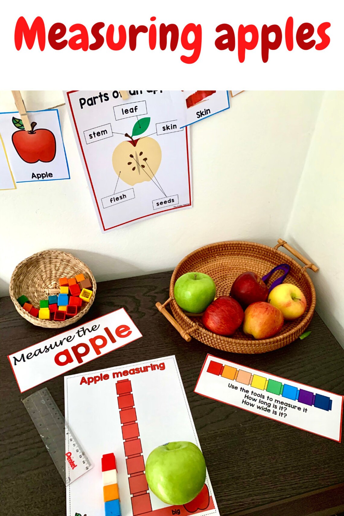 All About Apples - Investigation Science Center for Preschool - Etsy