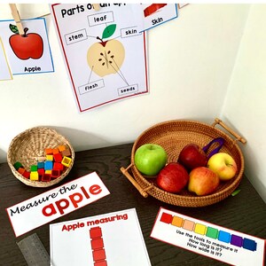All About Apples - Investigation Science Center for Preschool - Etsy