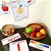 All About Apples - Investigation Science Center for Preschool - Etsy