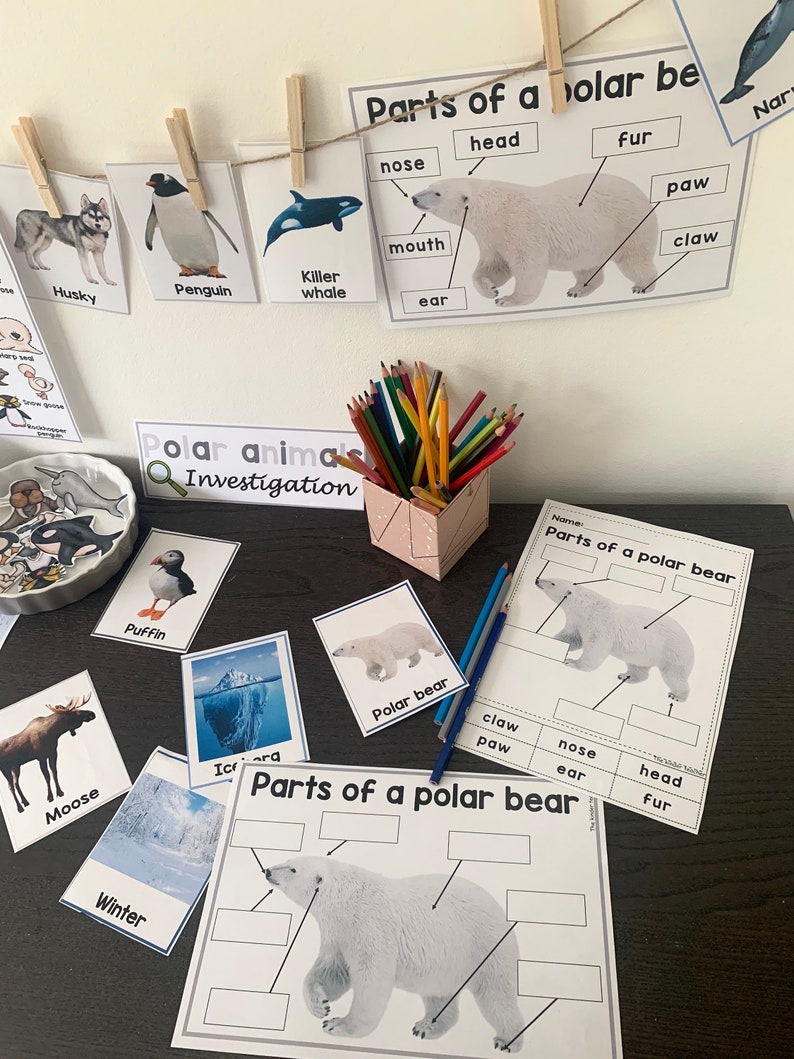 All About Polar Animals- Investigation Science Center for Preschool - Etsy
