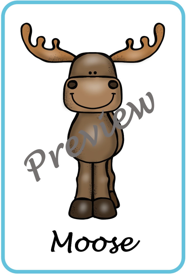 Polar Animals Classroom Posters - Etsy