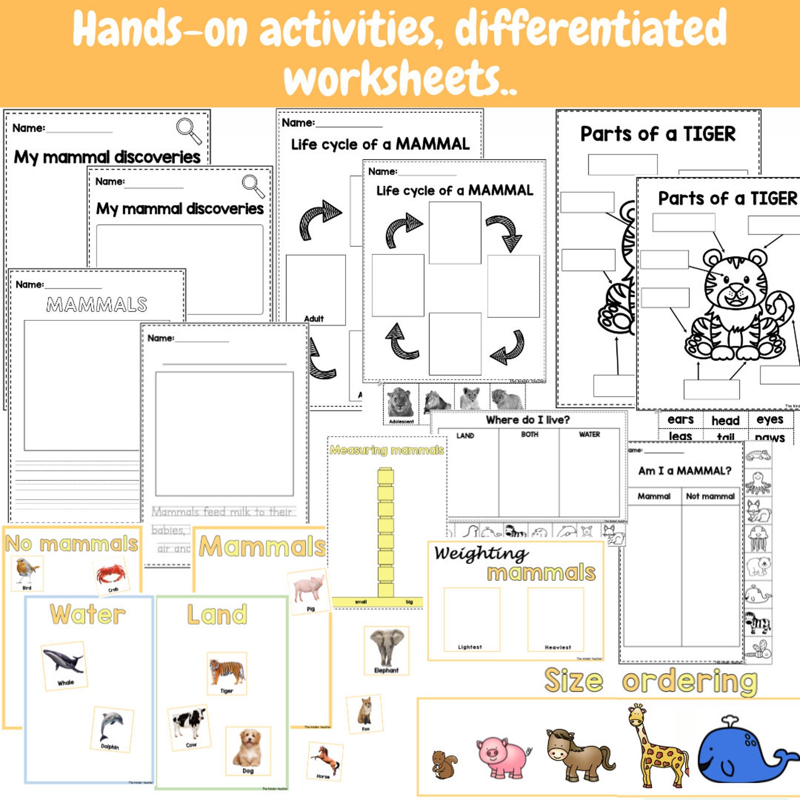 All About Mammals - Investigation Science Center for Preschool - Etsy