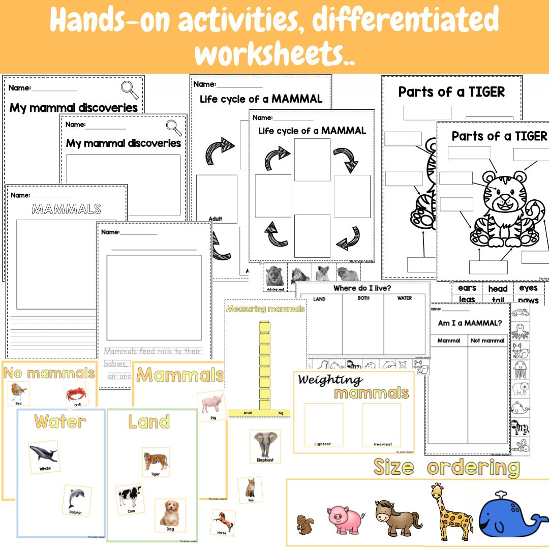 All About Mammals - Investigation Science Center for Preschool - Etsy