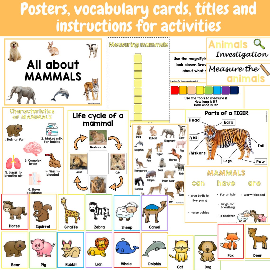 All About Mammals - Investigation Science Center for Preschool - Etsy