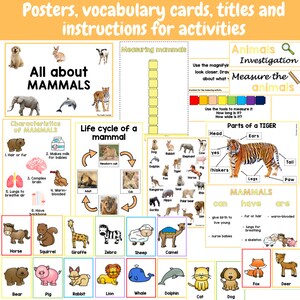 All About Mammals - Investigation Science Center for Preschool - Etsy