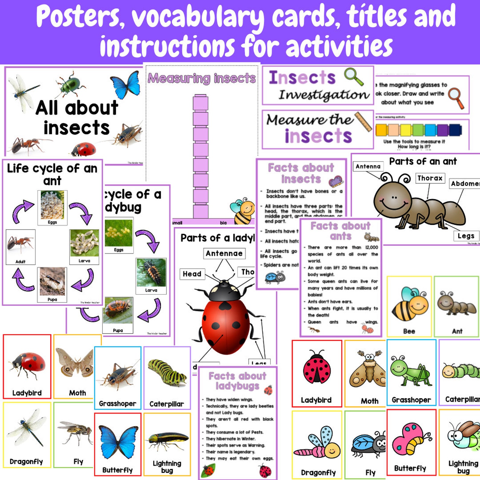 All About Insects and Minibeasts - Investigation Science Center for ...