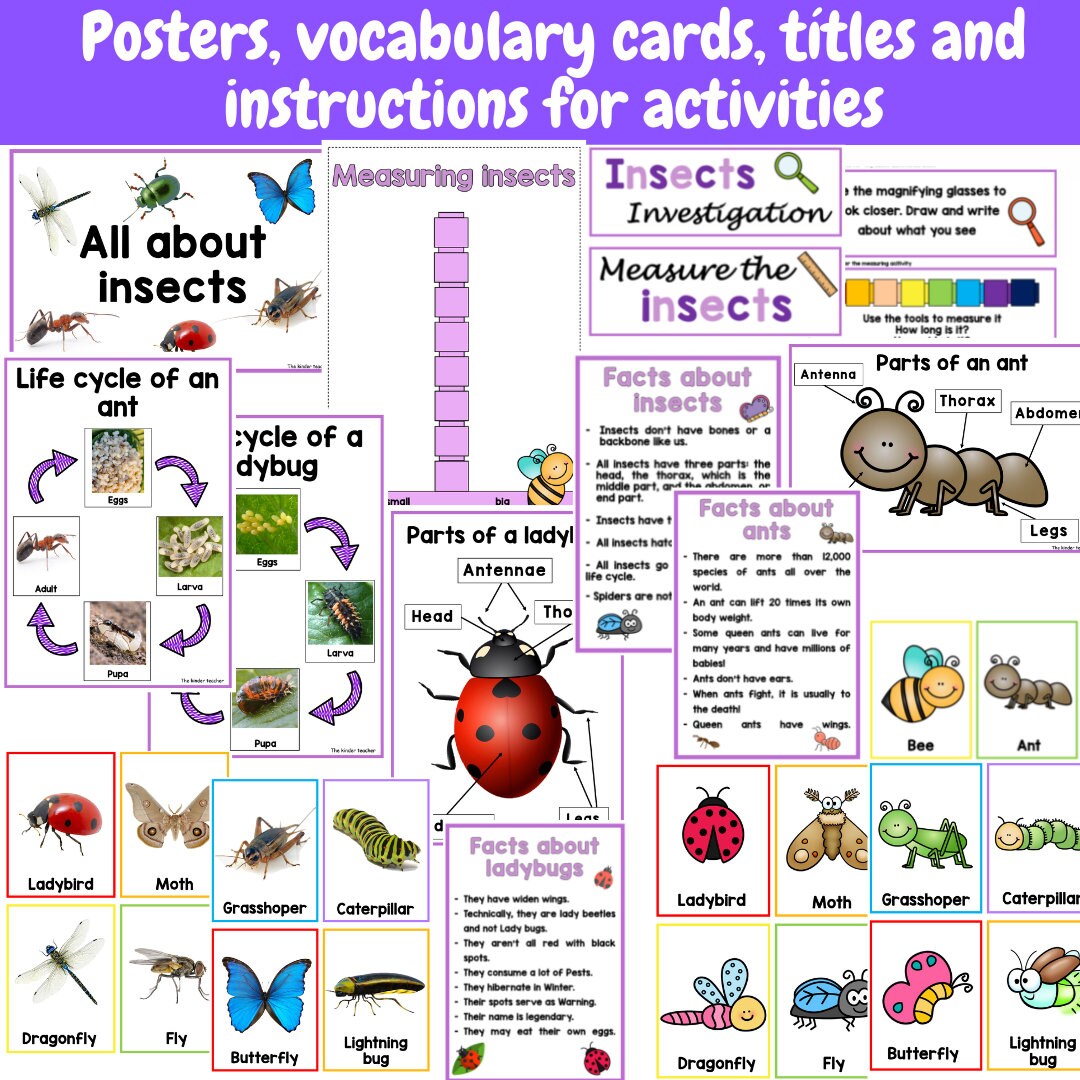 All About Insects and Minibeasts - Investigation Science Center for ...