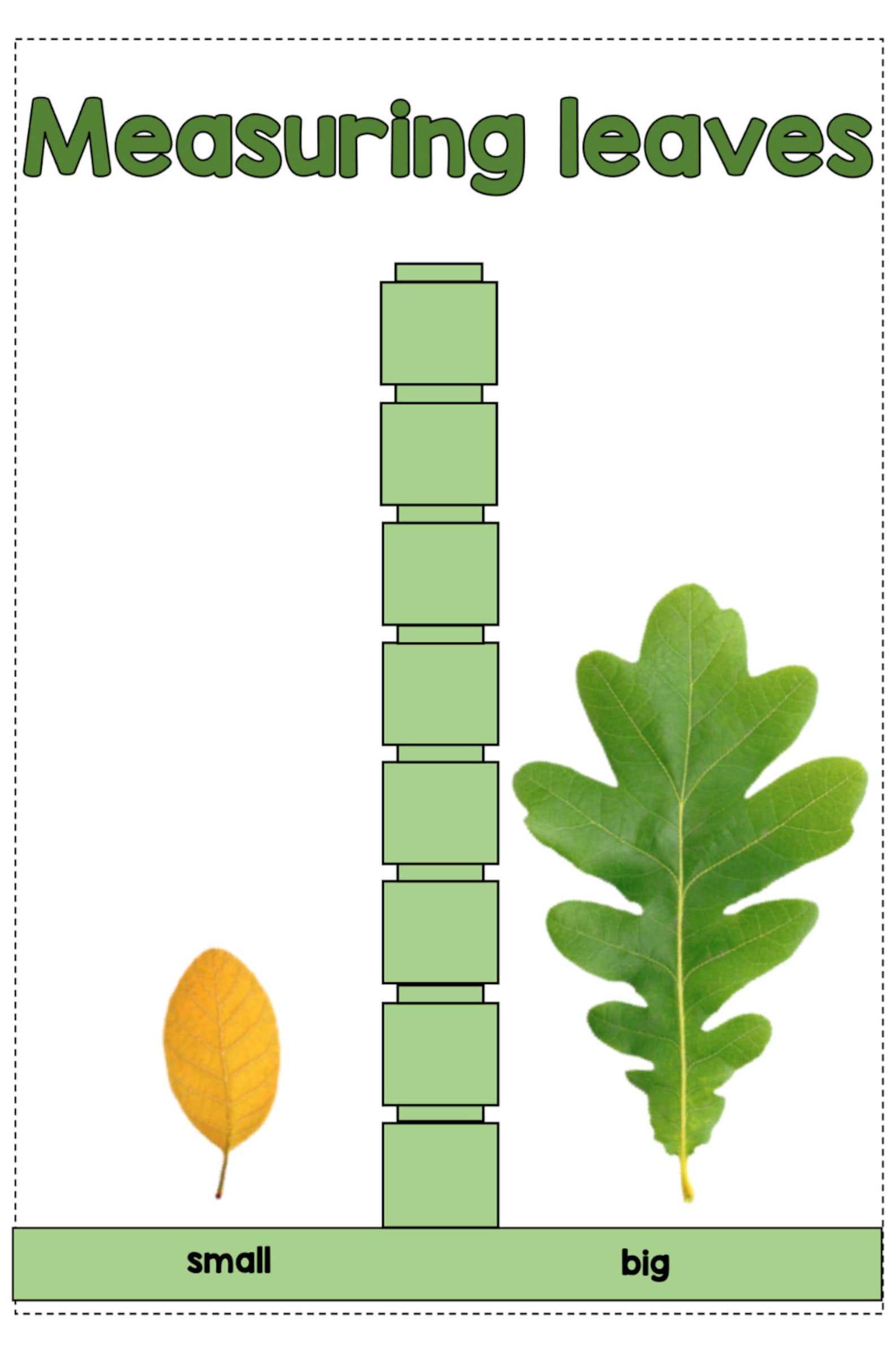 All About Trees and Leaves - Investigation Science Center for Preschool ...