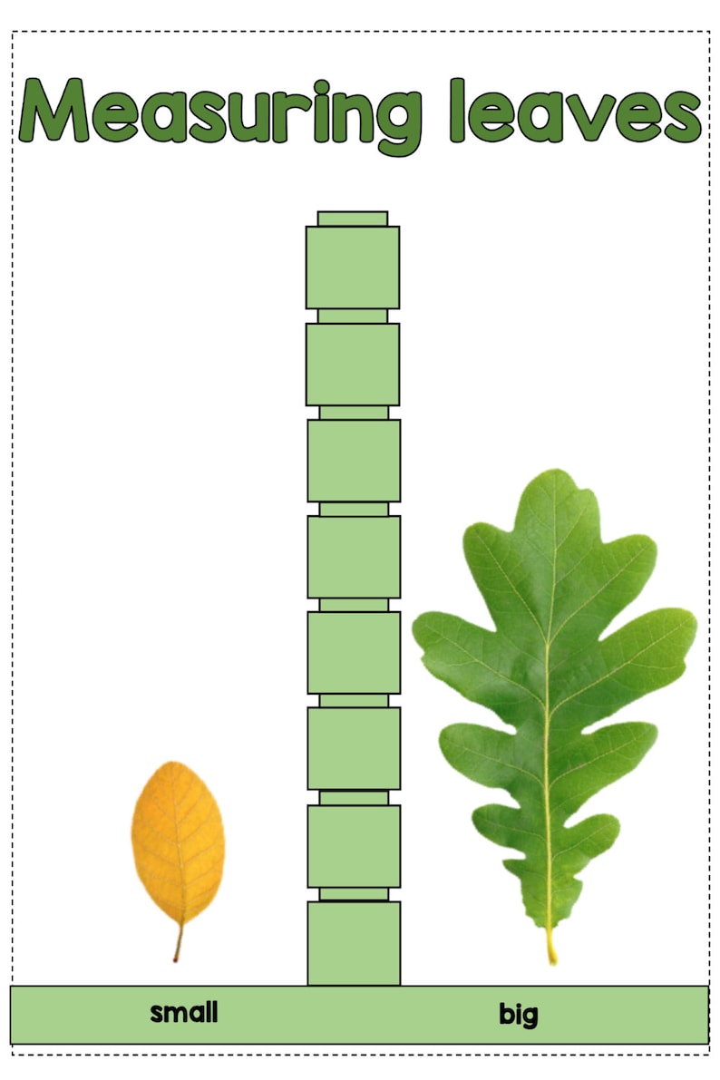 All About Trees and Leaves - Investigation Science Center for Preschool ...