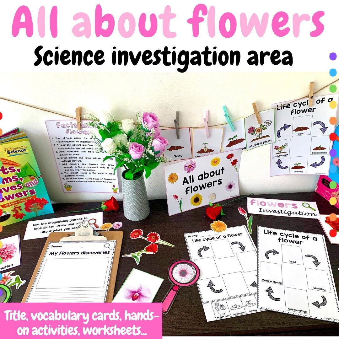 All About Flowers - Investigation Science Center for Preschool - Etsy