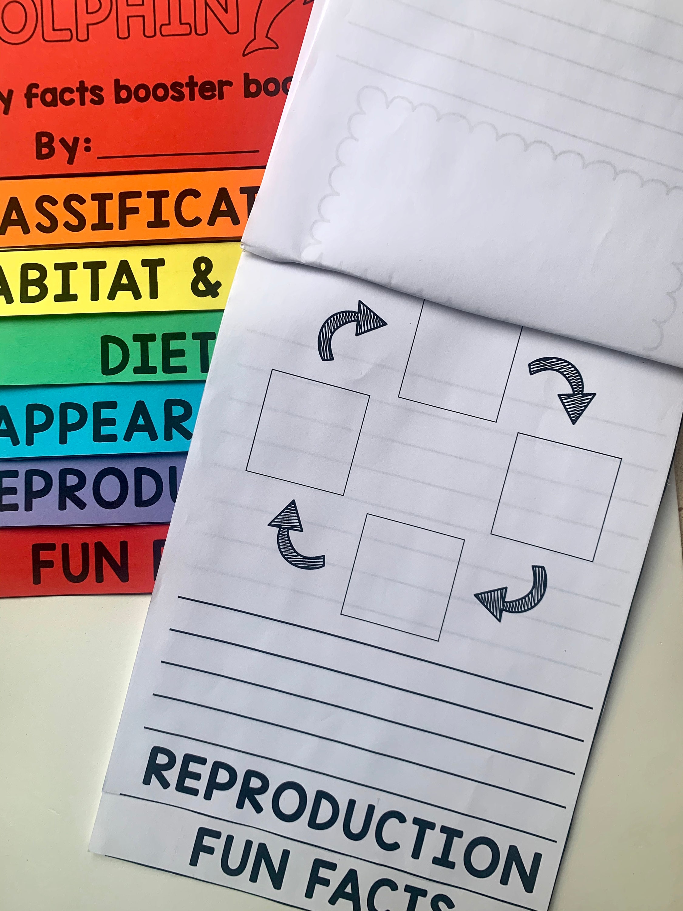 Animals Flipbook Activity - Worksheet - Lapbook - Etsy