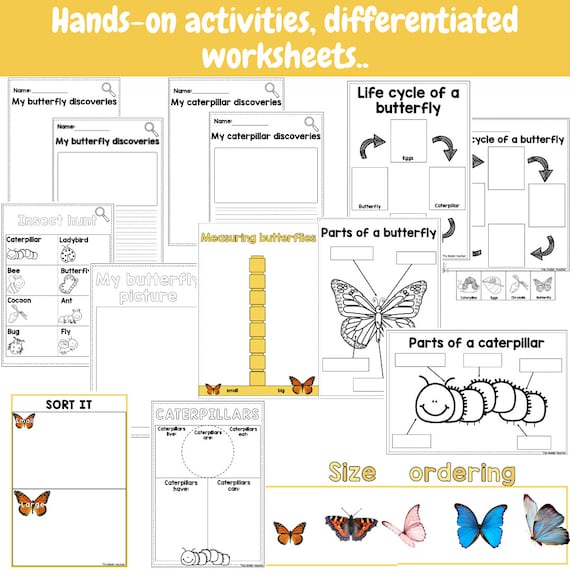 All about butterflies Investigation science center for Preschool Toys ...