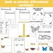 All About Butterflies Investigation Science Center for Preschool - Etsy