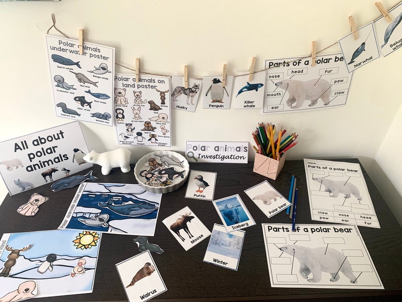 All About Polar Animals- Investigation Science Center for Preschool - Etsy