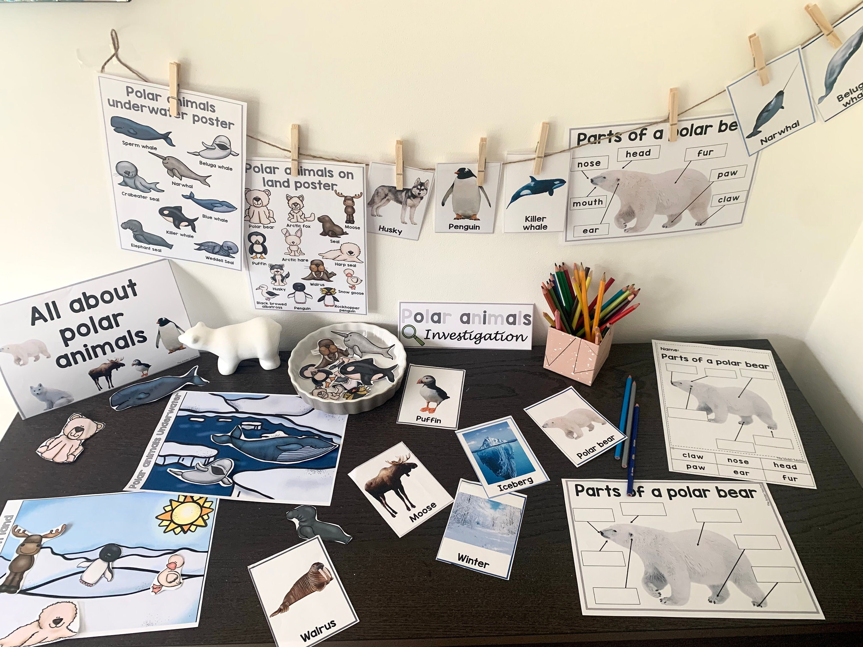 All About Polar Animals- Investigation Science Center for Preschool - Etsy