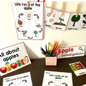 All About Apples - Investigation Science Center for Preschool - Etsy
