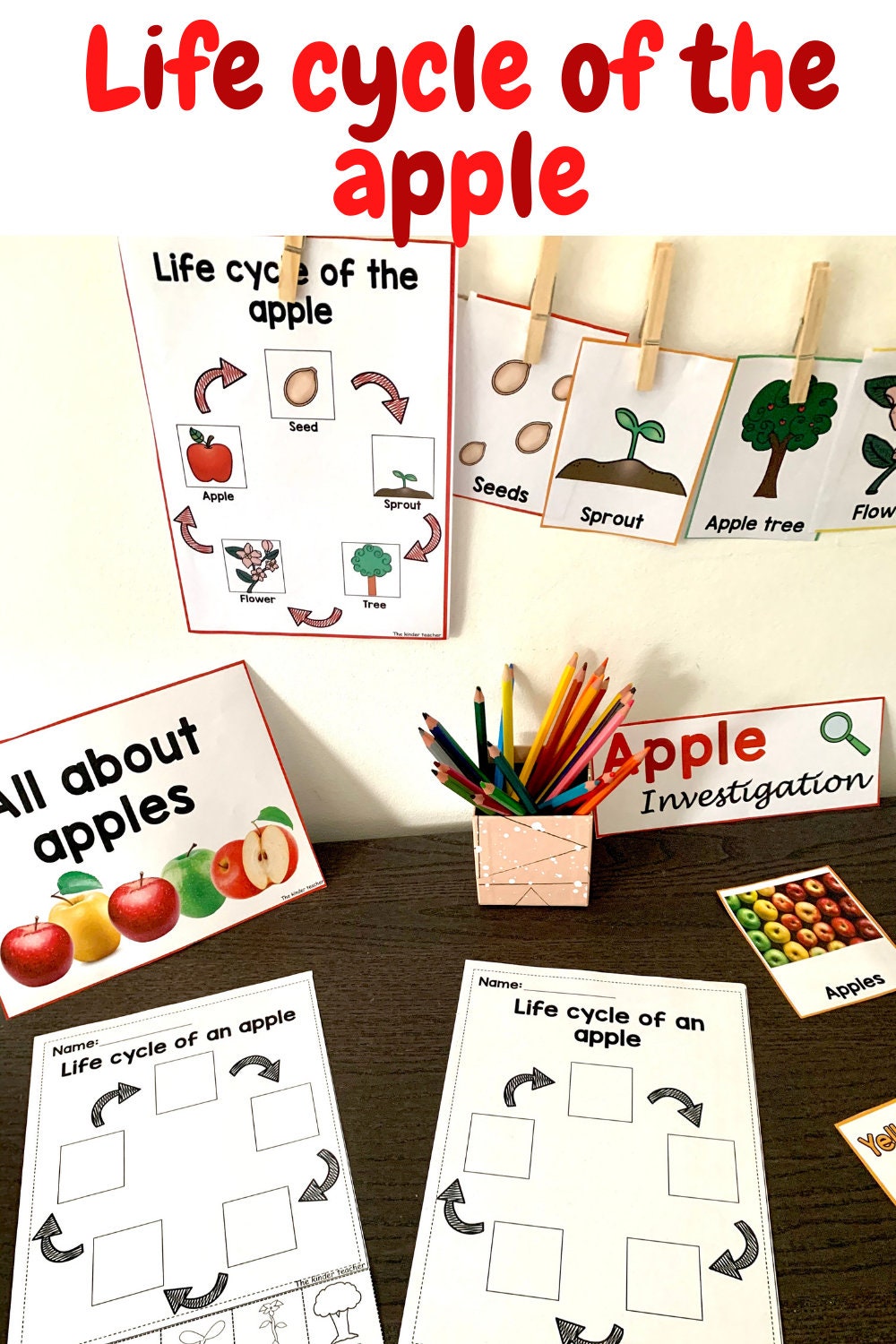 All About Apples - Investigation Science Center for Preschool - Etsy