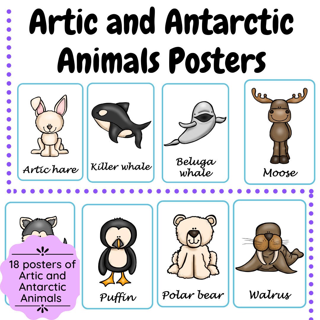 Polar Animals Classroom Posters - Etsy
