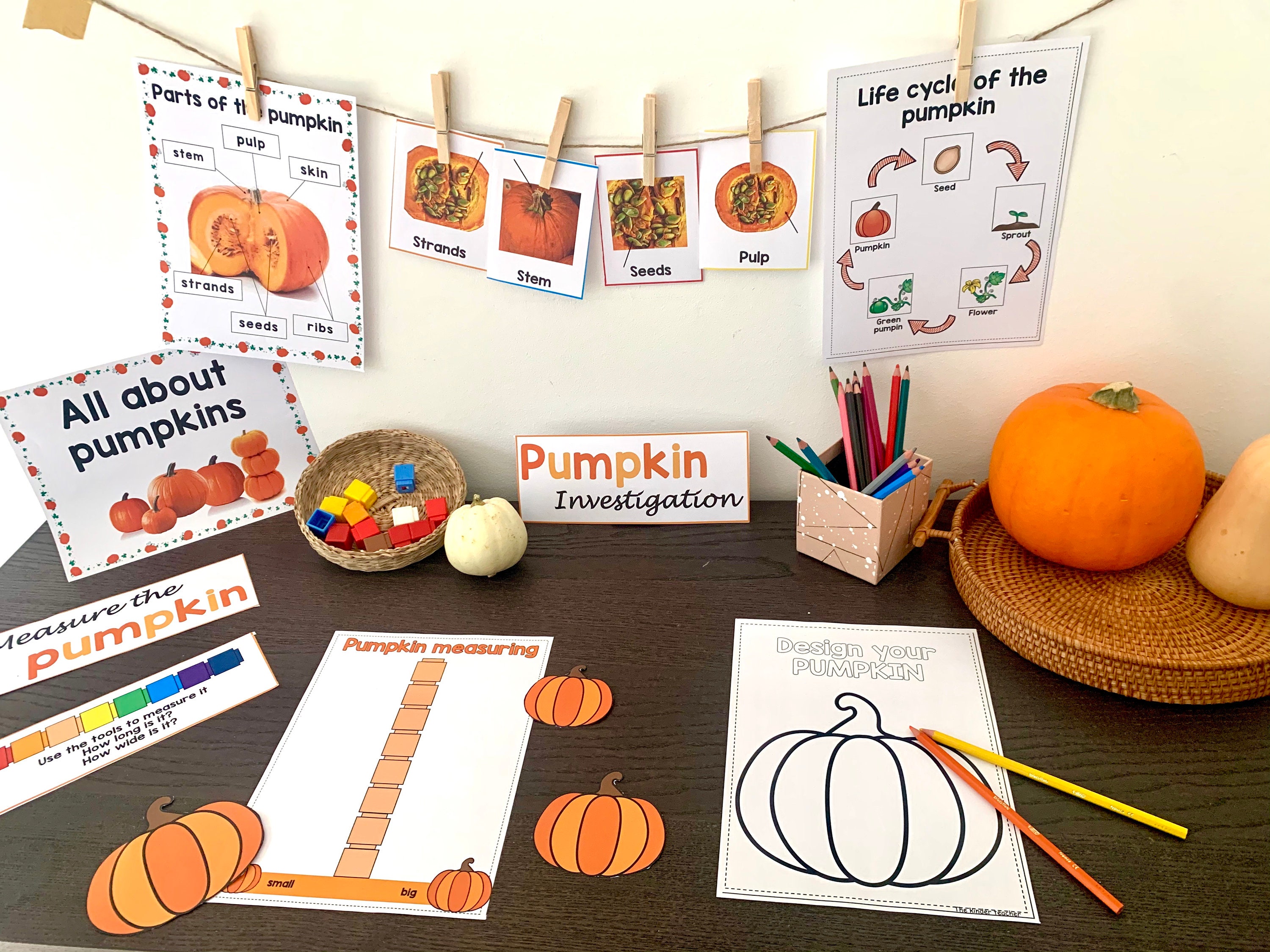 All About Pumpkins - Investigation Science Center for Preschool - Etsy