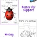 All About Insects and Minibeasts - Investigation Science Center for ...