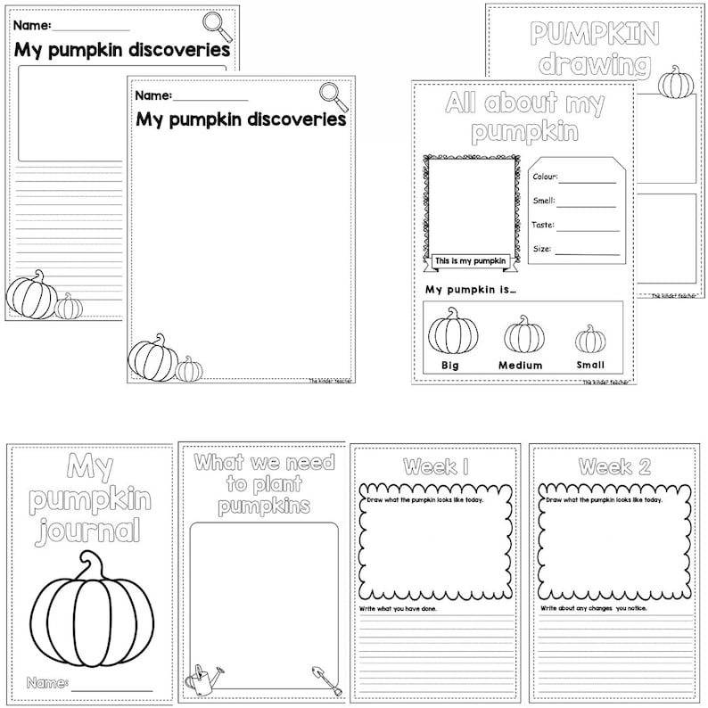 All About Pumpkins - Investigation Science Center for Preschool - Etsy