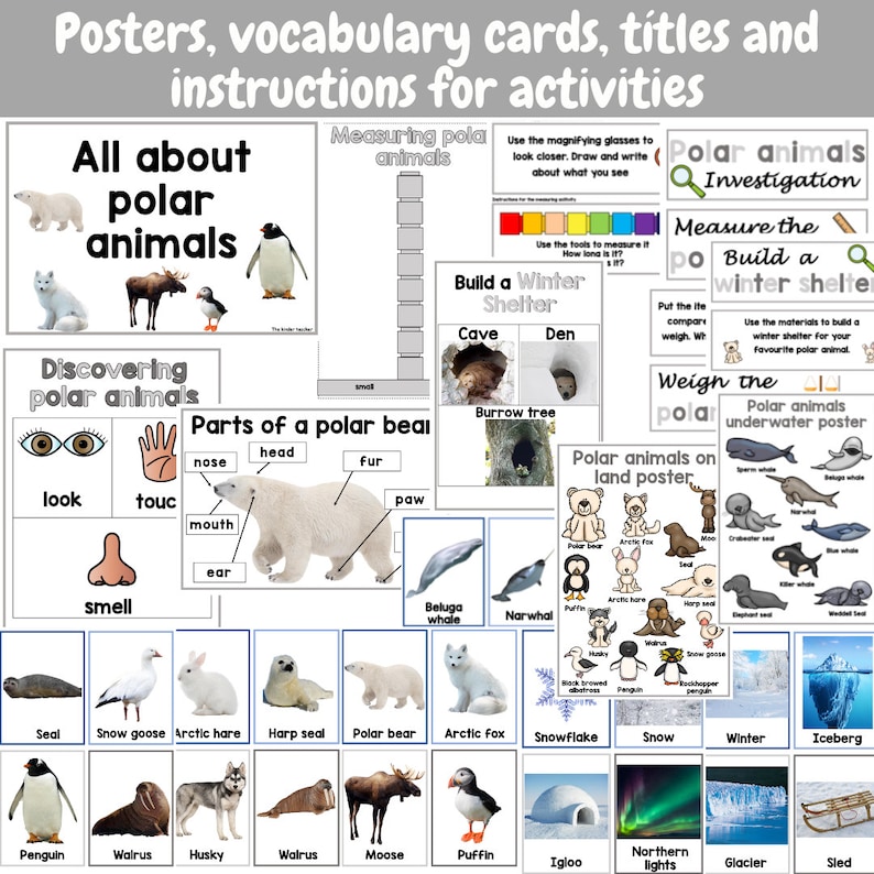 All About Polar Animals- Investigation Science Center for Preschool - Etsy