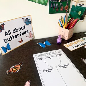 All About Butterflies - Investigation Science Center for Preschool - Etsy
