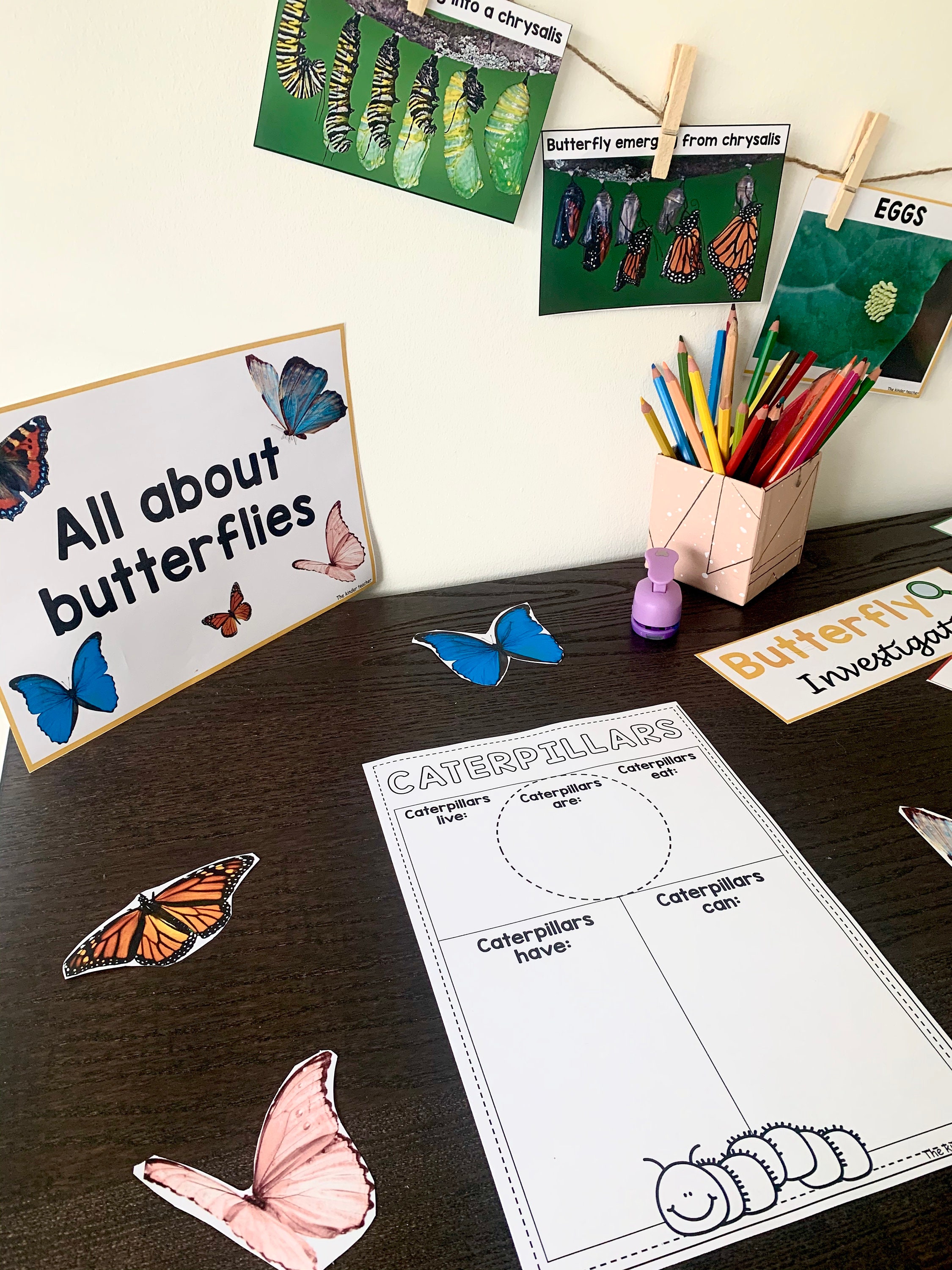 All About Butterflies - Investigation Science Center for Preschool - Etsy