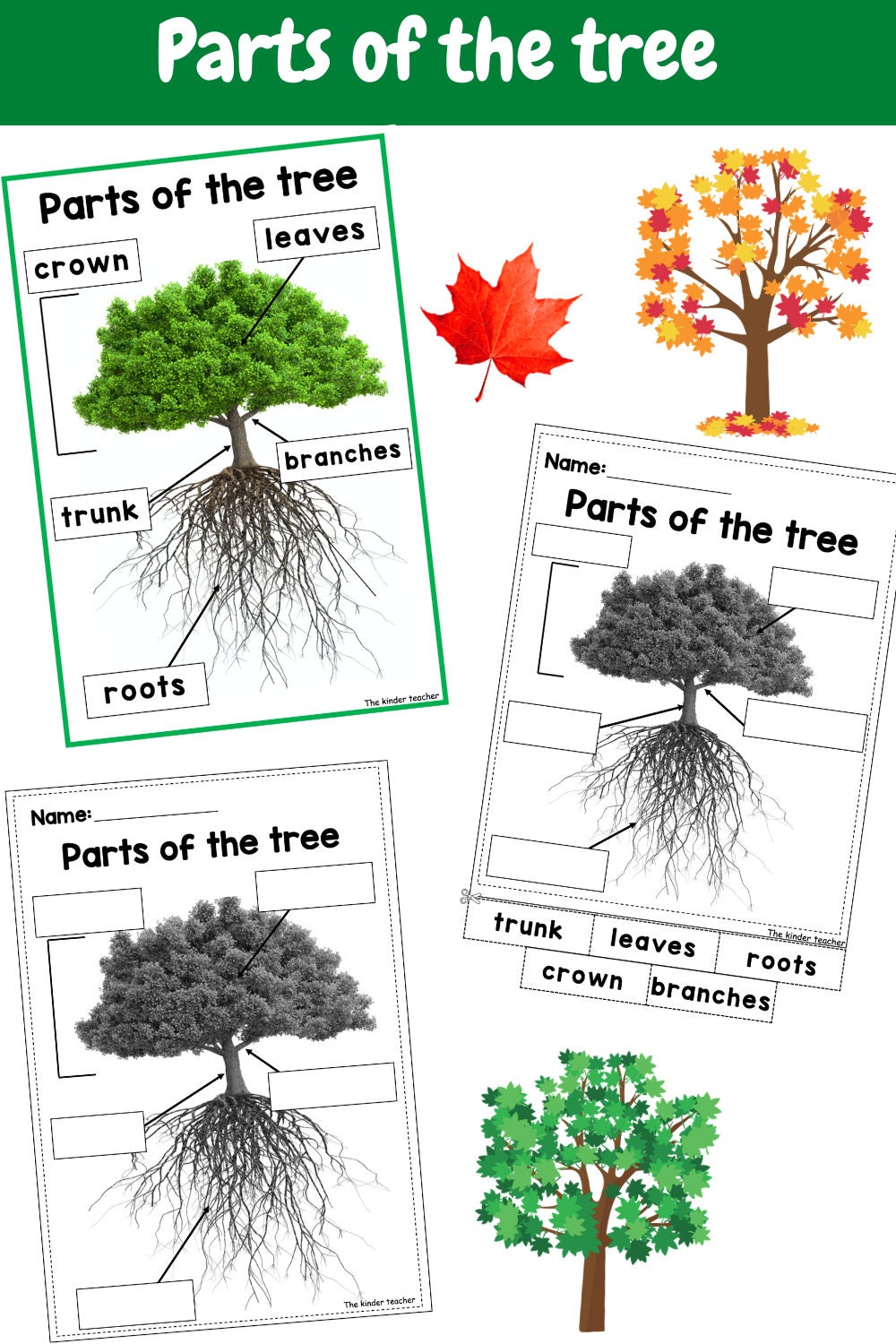 All About Trees and Leaves - Investigation Science Center for Preschool ...