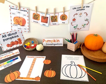 All About Trees and Leaves - Investigation Science Center for Preschool ...