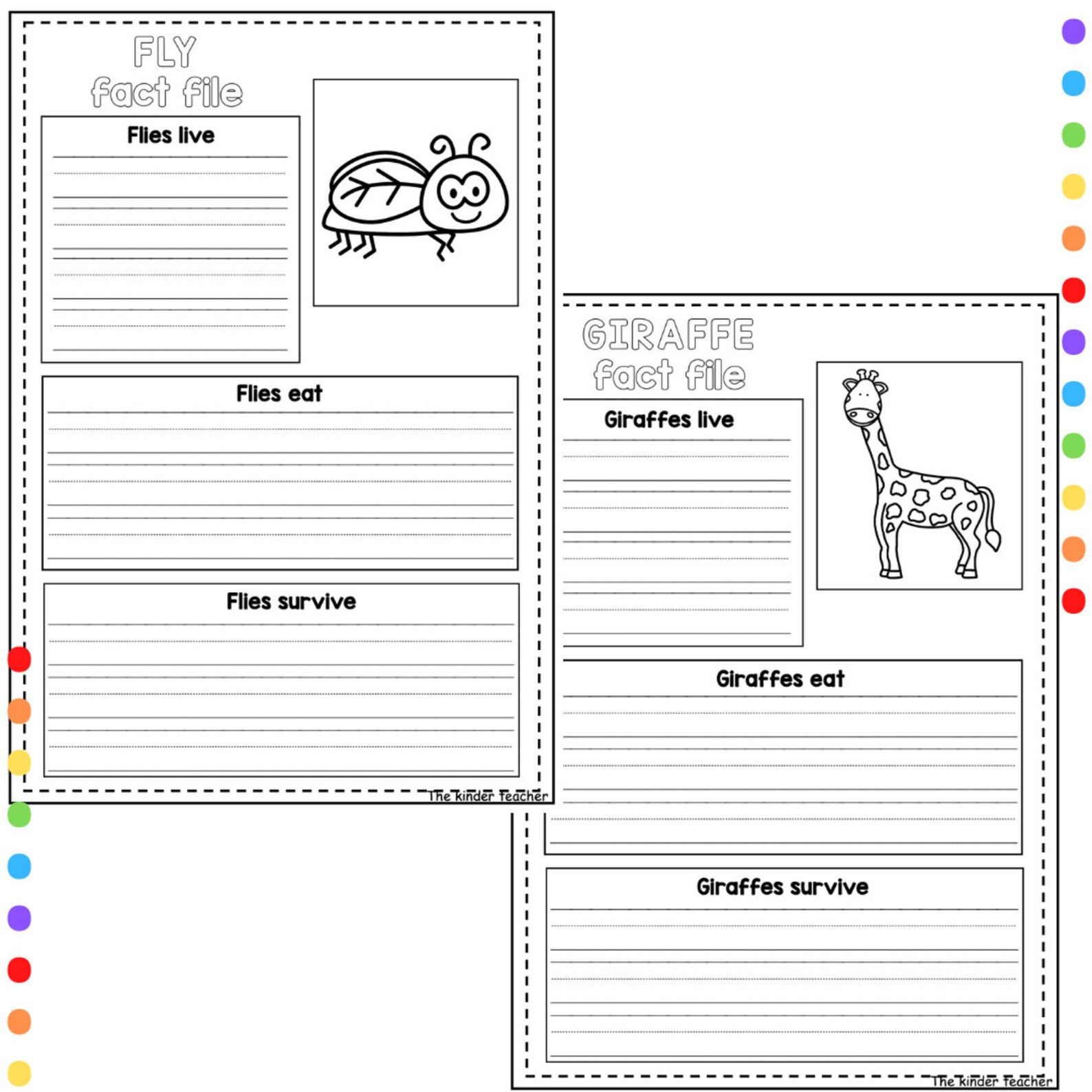 Animals Fact Files - Early Writing - Reception and Nursery - Etsy