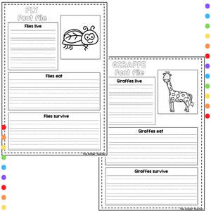 Animals Fact Files - Early Writing - Reception and Nursery - Etsy