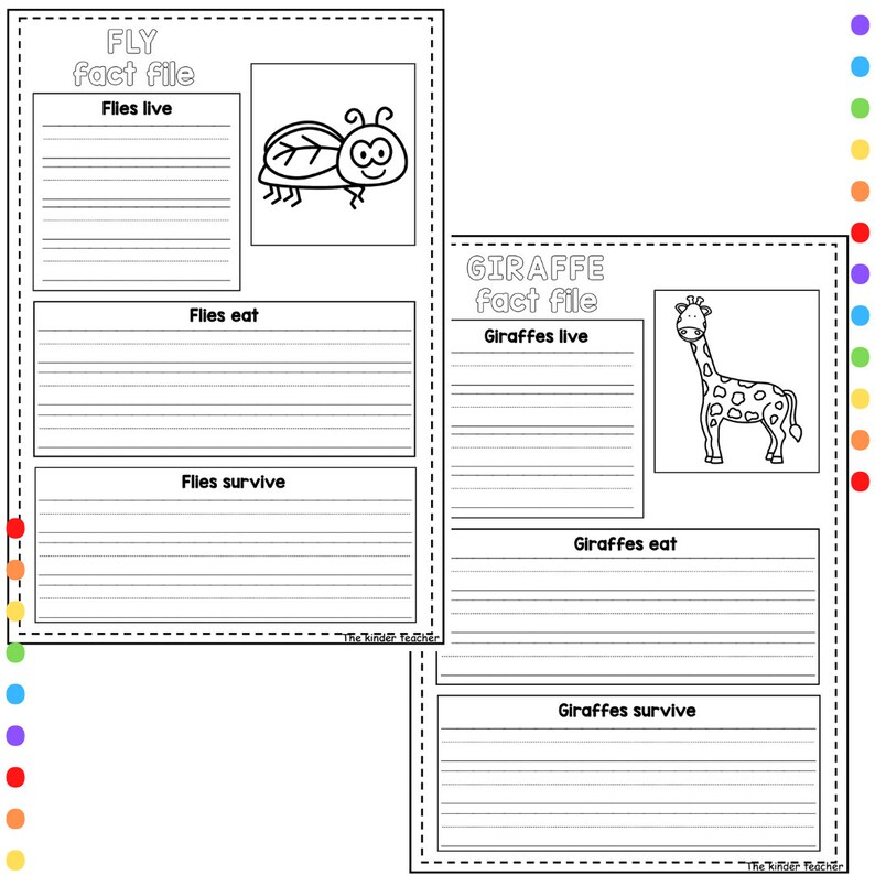 Animals Fact Files - Early Writing - Reception and Nursery - Etsy