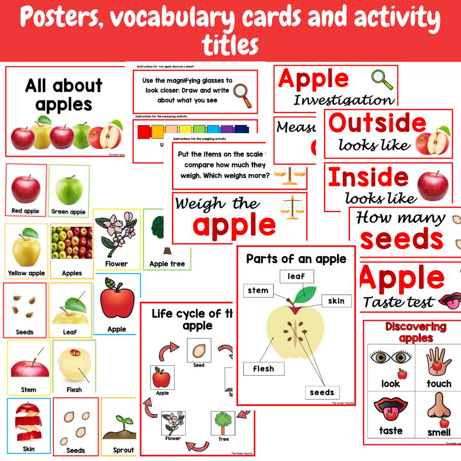 All About Apples - Investigation Science Center for Preschool - Etsy