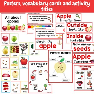 All About Apples - Investigation Science Center for Preschool - Etsy